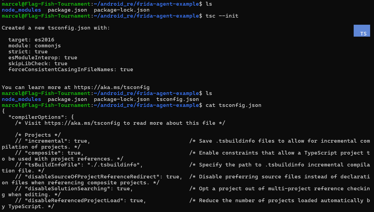 how_to_write_frida_in_ts | Marce1's Blog